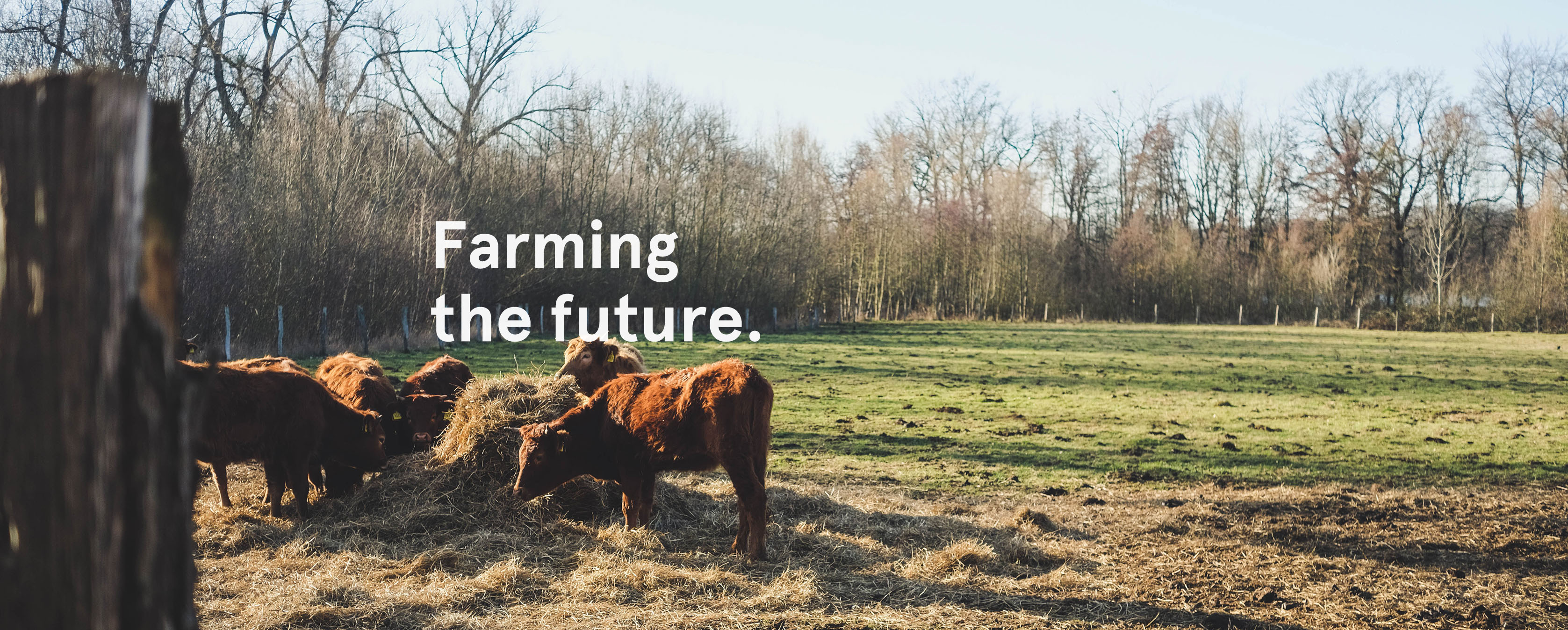 Farm Life project contributes to a climate-resilient Europe by ...